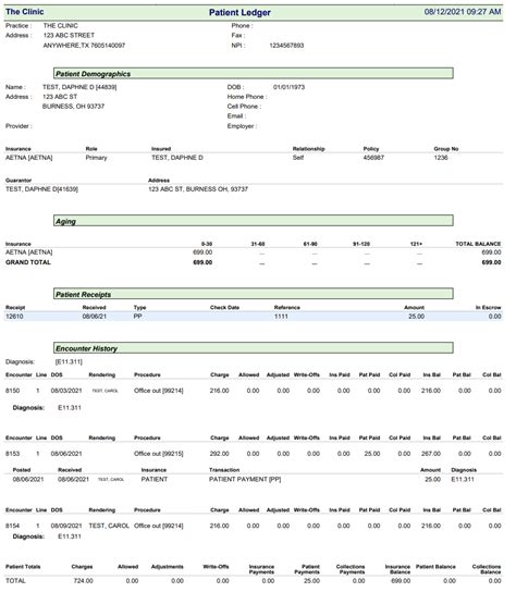 Print A Patient Ledger