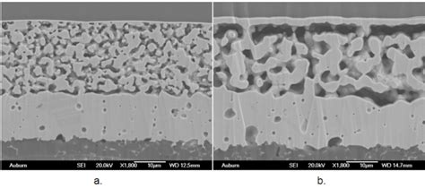 Cross Section Microstructure Of Sintered And Aged Sample Ag Substrate Download Scientific