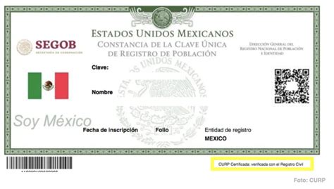 ¿qué Hacer Si Mi Curp Está Mal