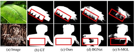 camouflaged object detection that does not require additional priors