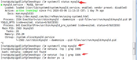 centos7 下 3306端口被tcp6占用，解决办法； csdn博客