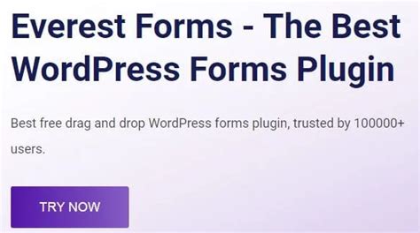 Compare Everest Forms V S Fluent Forms Which Is Best In 2025
