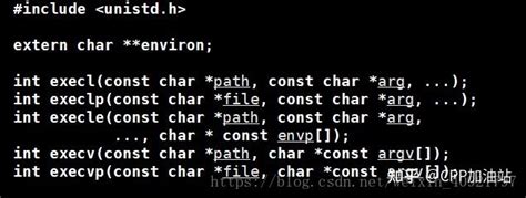 linux如何创建子进程fork和exec函数组详细介绍 知乎