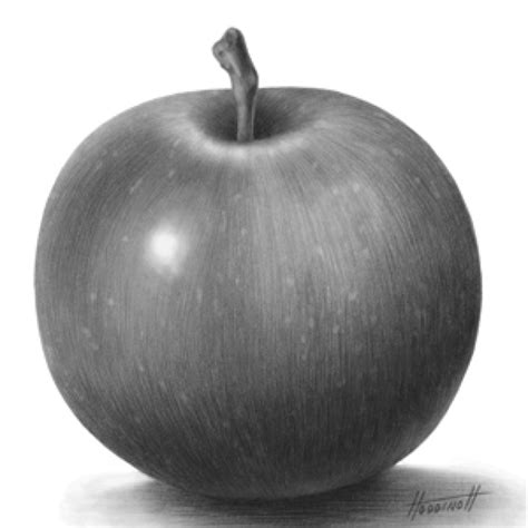 31a30 Shade An Apple With Contour Hatching Overview Drawspace