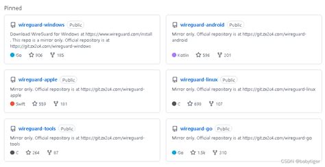 wireguard windows linux版本client server的配置 windows11怎么安装wire guard csdn博客