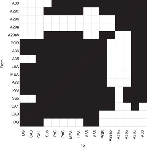 Representations Of The Retrosplenial Cortex Rsc Hippocampal