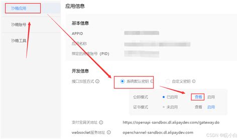 【springboot】整合沙箱支付 springboot整合沙箱支付 csdn博客