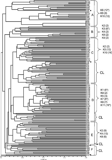Individual Upgma Tree Upgma Algorithm Of Sneath And Sokal 1973 Was