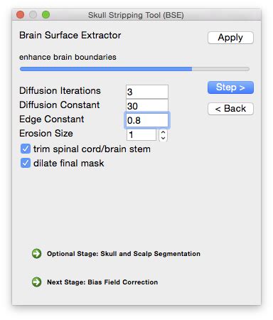 Bse Finding The Brain BrainSuite