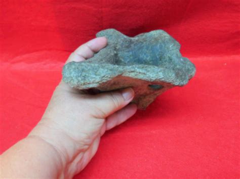 Fossil Bison Bones Vertebrae Fossils And Artifacts For Sale Paleo Enterprises
