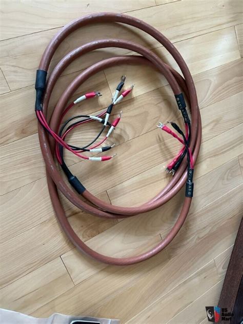 Cardas Cross Bi Wire Speake Cable Pair 2m Photo 4730371 Us Audio