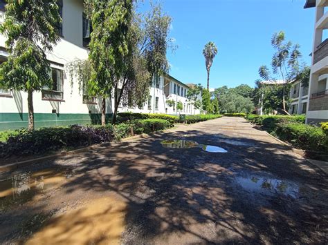 Jamhuri High School Kenya 🇰🇪 Tortoisepath Schoolfinder 🎓