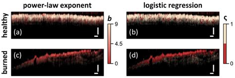 Diagnostic Capability Of Stft Spectral Analysis Shown By Color Coding Download Scientific