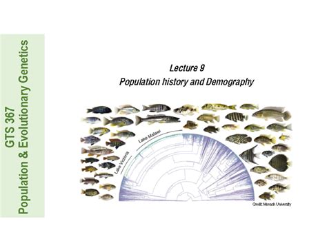 Class 9 Population History And Demography Gts 367 Population