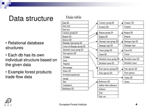 Ppt Network For A European Forest Information Service Nefis
