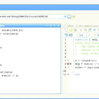 Debugging With A Breakpoint Set Download Scientific Diagram