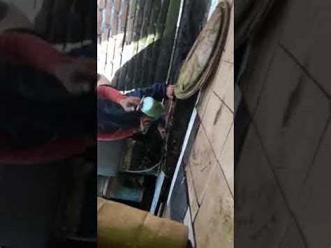 Ngintip Tante Sebelah Mandi Youtube