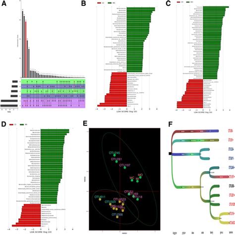 Evaluation Of Dss Induced Uc Mice Model A Dai Of The Control And