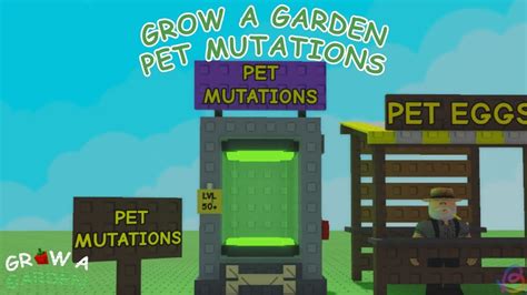 How To Get Pollinated Mutation In Grow A Garden Roblox Beebom