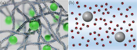 Figure 1 From Viscoelastic Active Diffusion Governed By Nonequilibrium