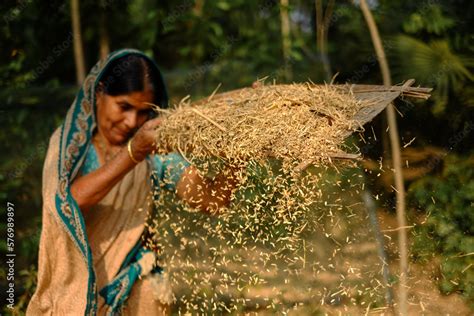 Village Woman Separating Chaff From Grain By Winnowing Process South