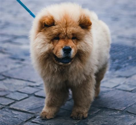 The Most Insightful Stories About Javascript Medium