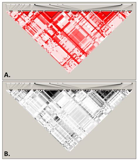 Microorganisms Special Issue Microbial Isolation And Characterization