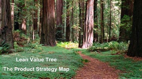 Lean Value Tree Overview Pdf