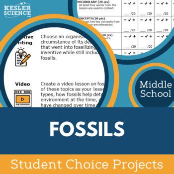 Th Grade Fossils Teaching Resources TPT