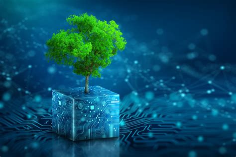 Decarbonization Needs More Nuanced Strategy The Asset