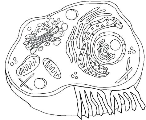 Dna Coloring Page At GetColorings Com Free Printable Colorings Pages To Print And Color