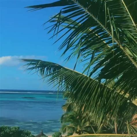 Lisa🌞 Lisa138349 • Instagram Photos And Videos