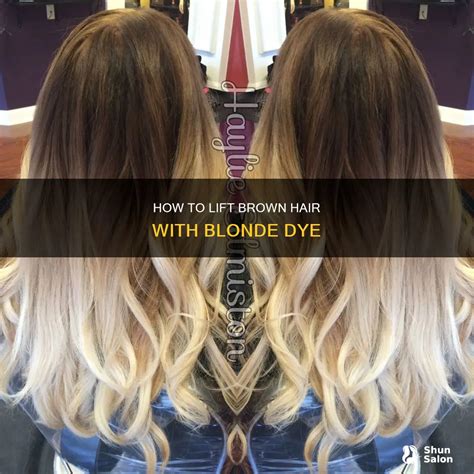 How To Lift Brown Hair With Blonde Dye Shunsalon