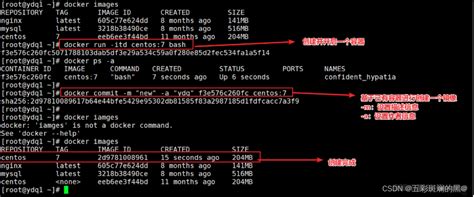 【docker】dockerfile构建镜像 csdn博客