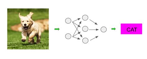 Deep Dive Into Neural Networks Mihail Eric