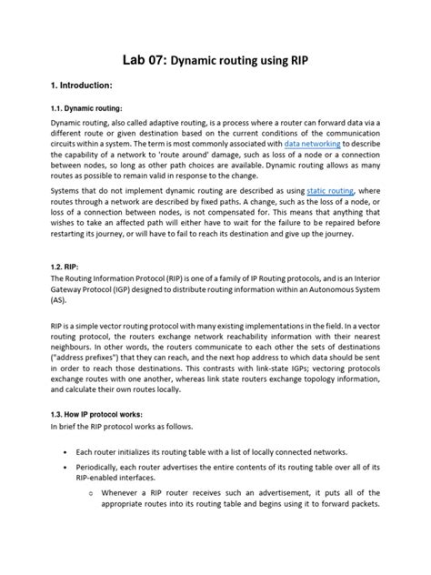 dynamic routing pdf