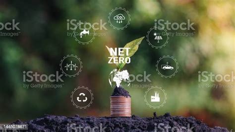 순 제로 아이콘과 탄소 중립 개념 순 제로 온실 가스 배출 목표 녹색 배경에 대한 기후 중립적 인 장기 전략 0에 대한 스톡 사진 및 기타 이미지 Istock