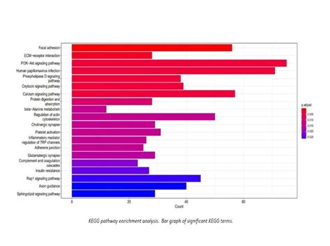 Fastq Multiqc Demo Report — Admera Health