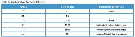 Uveitis Guide For Optometrists Insight