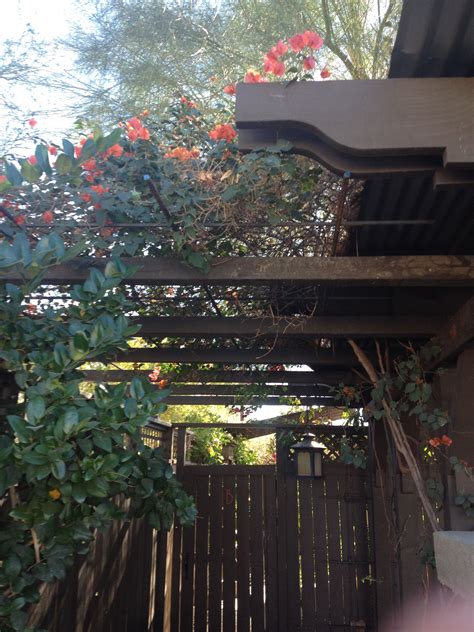 Rebar Trellis House Styles Trellis Home Decor