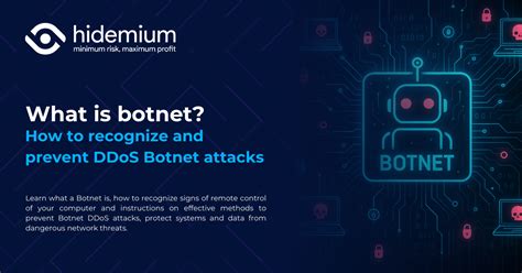 What Is Botnet How To Recognize And Prevent Ddos Botnet Attacks