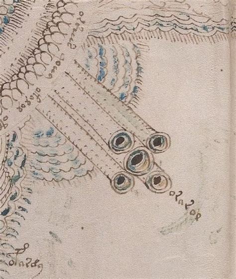 Voynich Manuskript Geht S In Der Mysteriösen Mittelalter Schrift Etwa