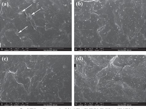 Figure 2 From Thermoplastic Isotactic Polypropyleneethylene Octene