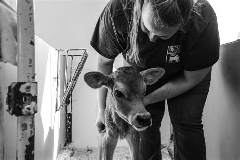 Ode To Farmers By Tom Remp Ill Billings Farm And Museum