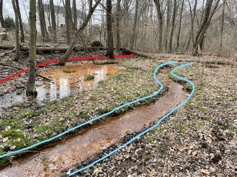 A Day In The Life Performing A Wetland Delineation Princeton Hydro