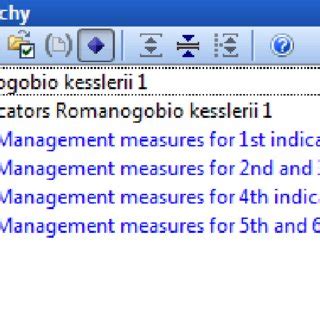 Hierarchy Of Process Modeled Download Scientific Diagram