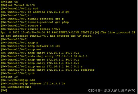 网络配置与ospf优化实践 csdn博客