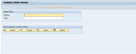 RSDD HM PUBLISH SAP Tcode Publish SAP HANA Model