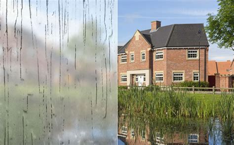 Patterned Textured Glass Pilkington Textured Glass Double And Triple