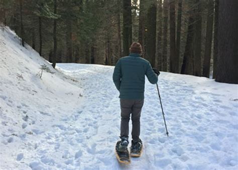 Yosemite Snowshoe Tour Giant Sequoia Hike And Snowshoe Trip